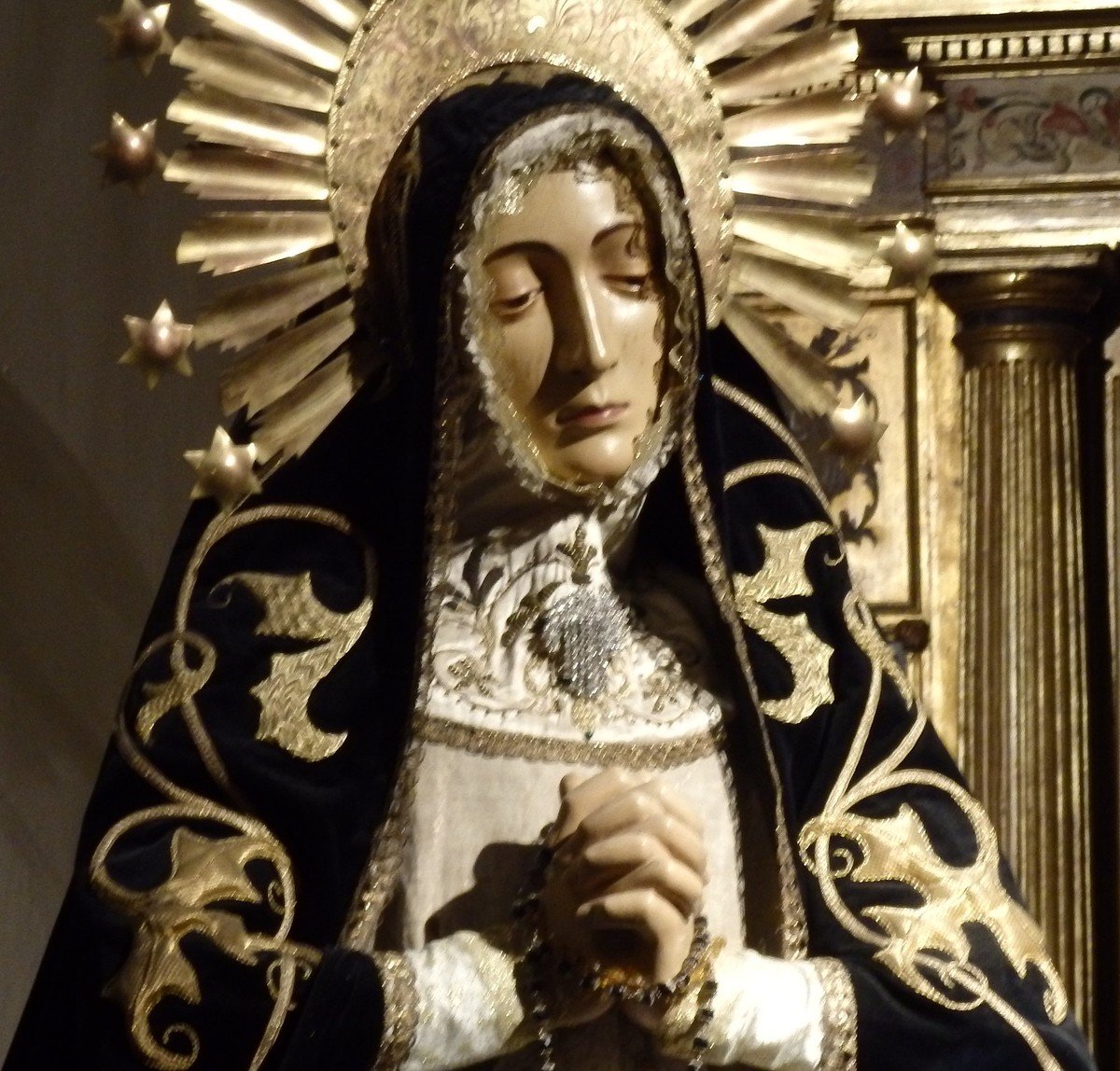 ¿Qué es el Día de la Paloma? Toda su historia; cuándo es y dónde se ...